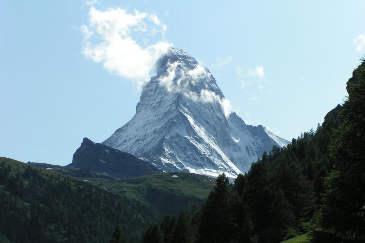 Begründungen in der Umweltethik – Welche Lebewesen haben einen ...