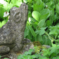 Begründungen in der Umweltethik – Welche Lebewesen haben einen ...